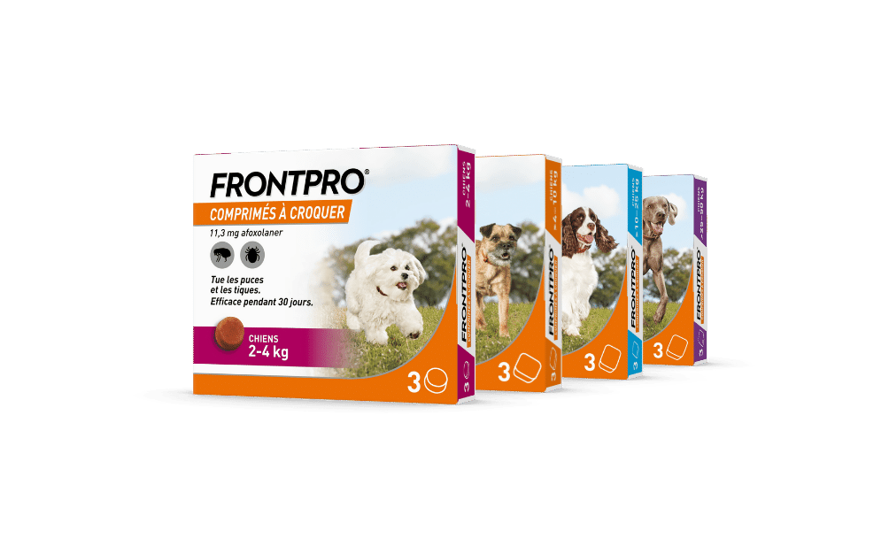 FRONTLINE | Protège chiens et chats des puces et tiques